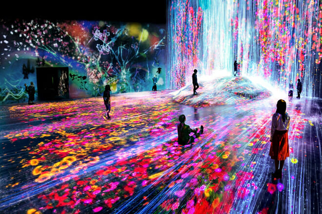 Teamlab Borderless Museum &mdash; Koto City