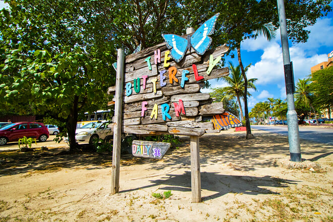 The Butterfly Farm &mdash; Noord
