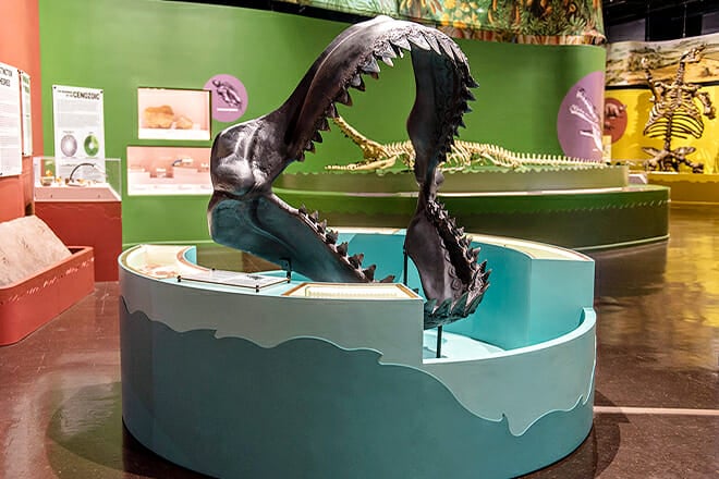 The Charleston Museum