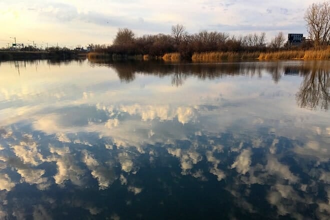 Tifft Nature Preserve