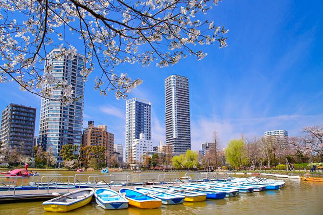 Tokyo Metropolitan Ueno Park &mdash; Taito City