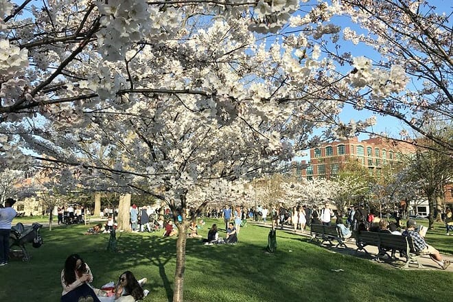 Trinity Bellwoods Park