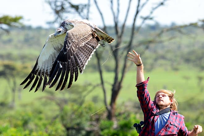 World Center for Birds of Prey