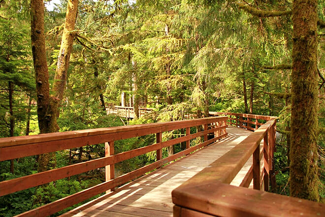 Alaska Rainforest Sanctuary &mdash; Ketchikan