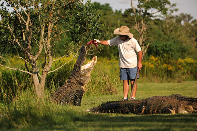 Alligator Alley — Summerdale