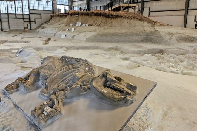 Ashfall Fossil Beds State Historical Park &mdash; Royal