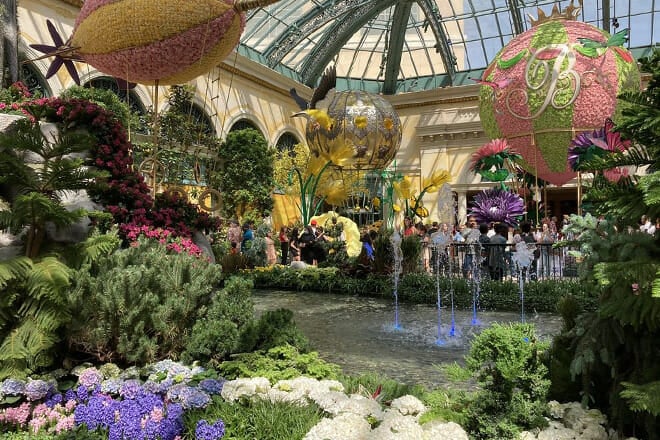 Bellagio Conservatory & Botanical Gardens