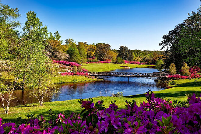 Bellingrath Gardens — Theodore