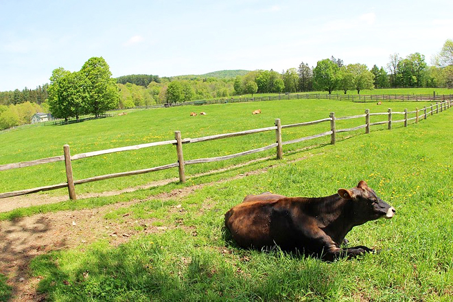 Billings Farm And Museum &mdash; Woodstock