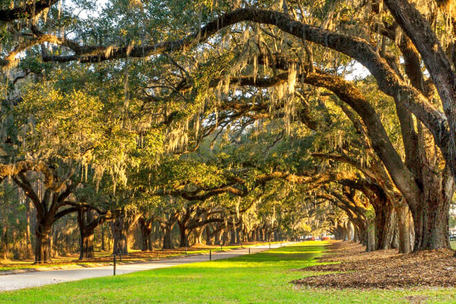 Boone Hall Plantation And Gardens &mdash; Mount Pleasant