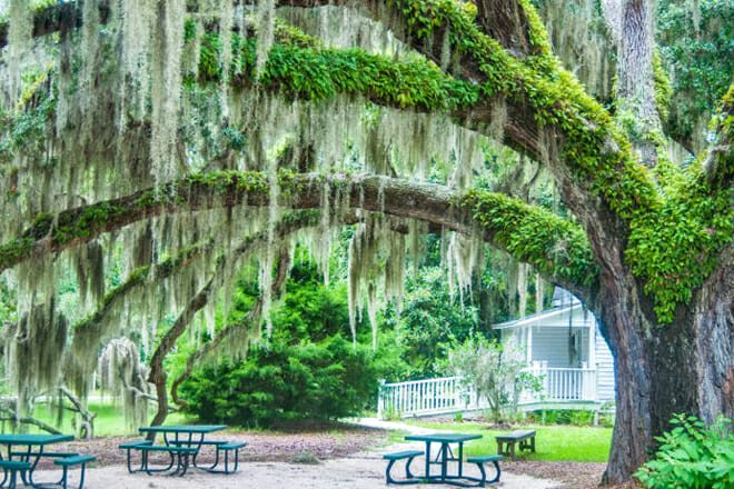 Coastal Discovery Museum &mdash; Hilton Head Island
