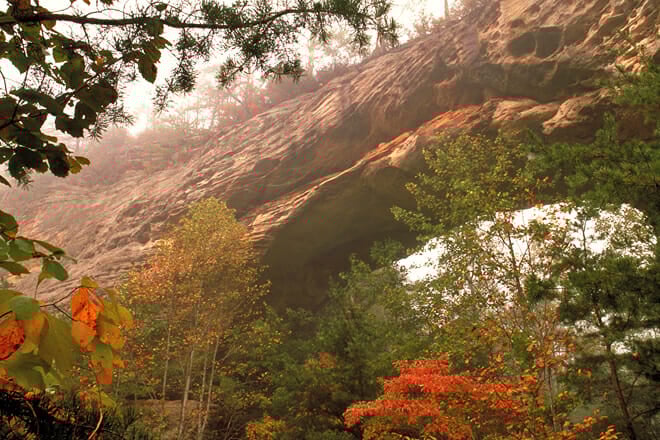 Daniel Boone National Forest