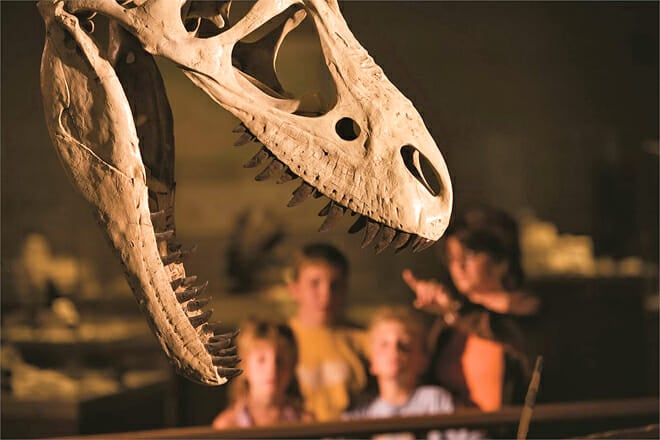 Dickinson Museum Center