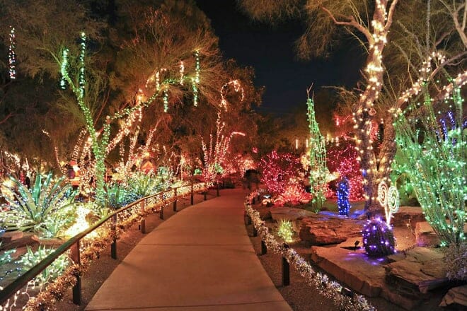 Ethel M Chocolates & Cactus Garden