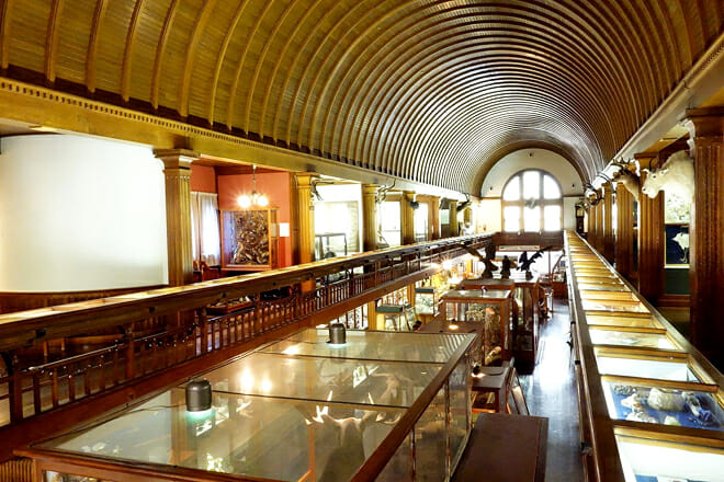 Fairbanks Museum And Planetarium &mdash; Saint Johnsbury