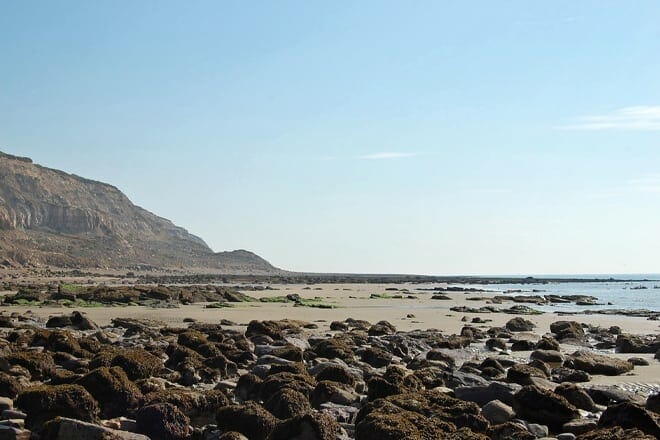 Fairlight Glen &mdash; Wadhurst