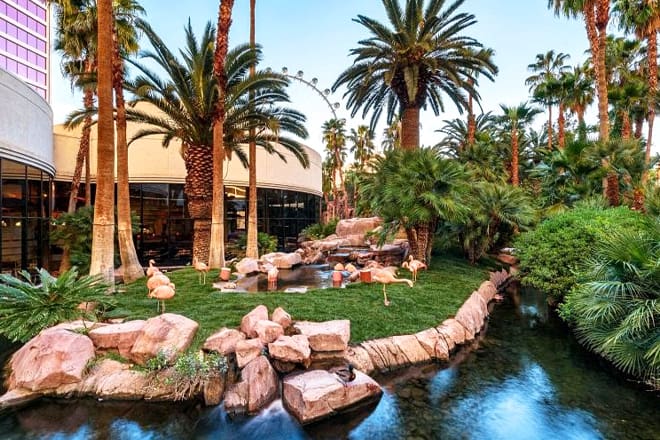 Flamingo Wildlife Habitat