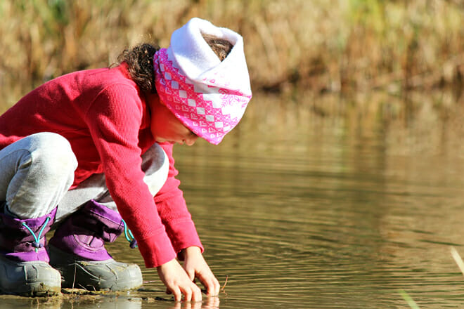 Green Mountain Audubon Center &mdash; Huntington