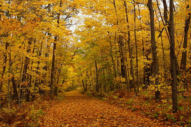 Itasca State Park &mdash; Park Rapids