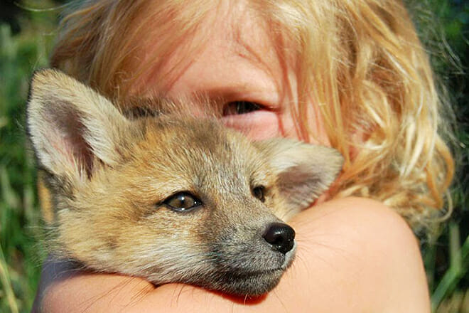 Kroschel Films Wildlife Center &mdash; Haines