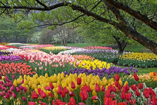 Longwood Gardens &mdash; Kennett Square