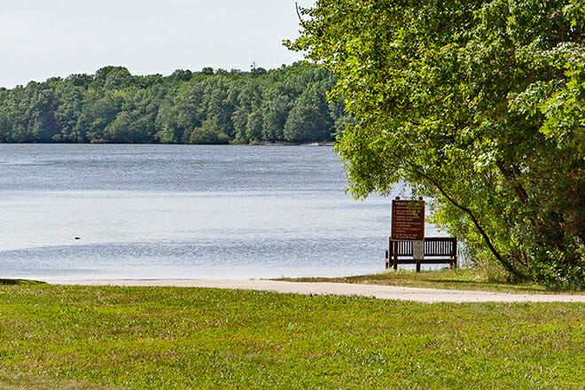 Lums Pond State Park &mdash; Bear