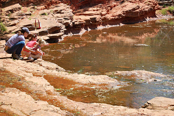 Martin Park Nature Center