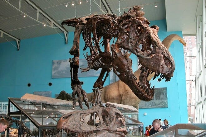 Maryland Science Center &mdash; Baltimore