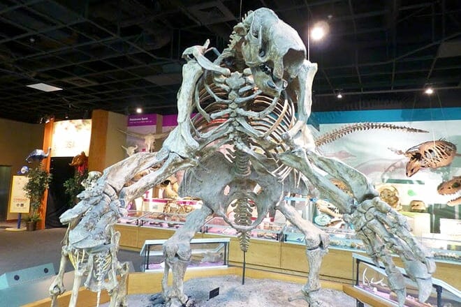 Mississippi Museum of Natural Science