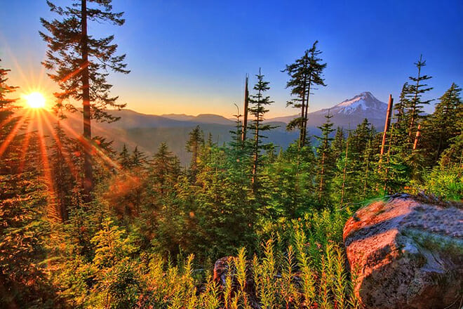 Mount Hood National Forest &mdash; Sandy