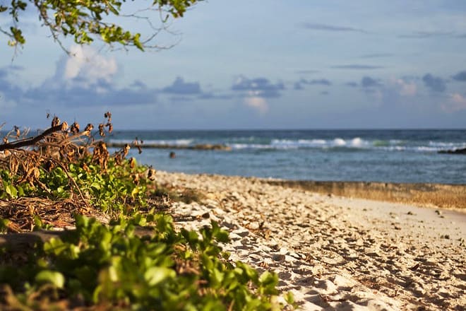 Needham&rsquo;s Point Beaches
