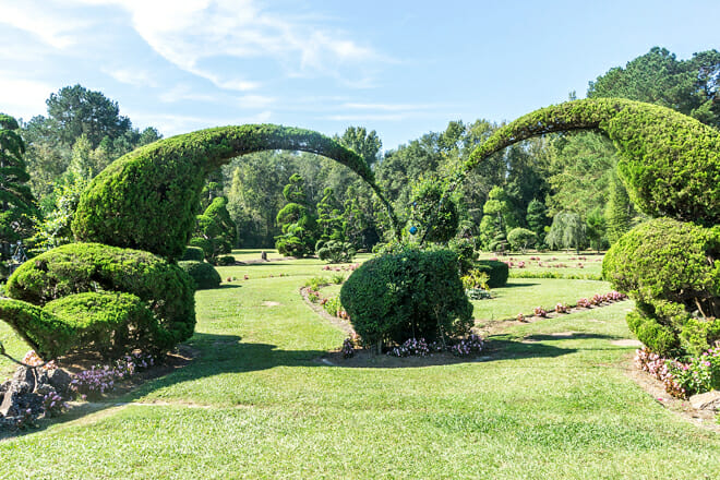 Pearl Fryar Topiary Garden &mdash; Bishopville
