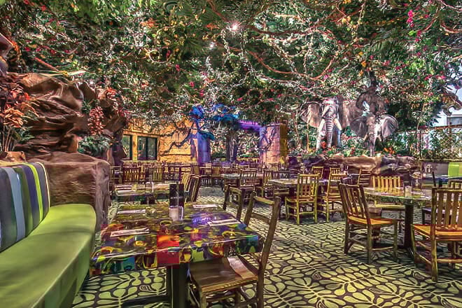Rainforest Cafe