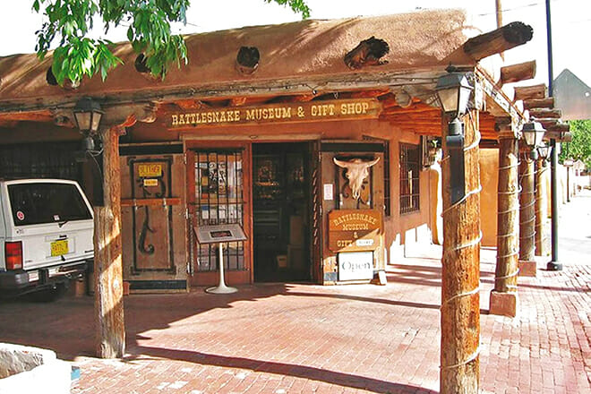 Rattlesnake Museum &mdash; Albuquerque