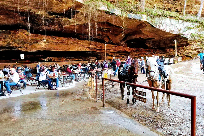 Rattlesnake Saloon — Tuscumbia