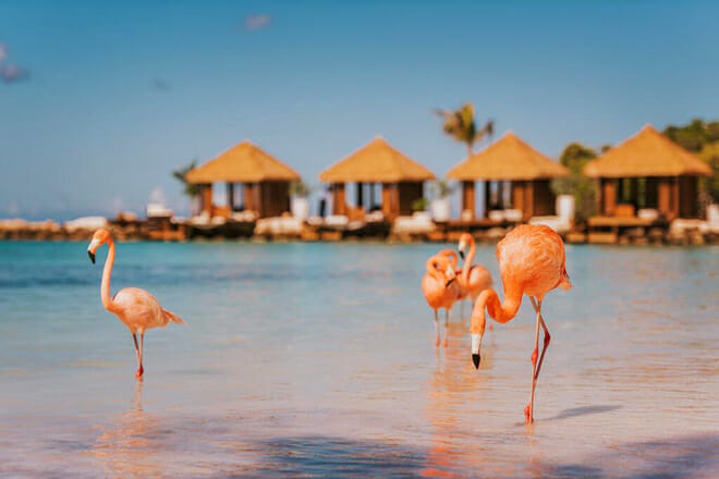 Renaissance Beach &mdash; Oranjestad