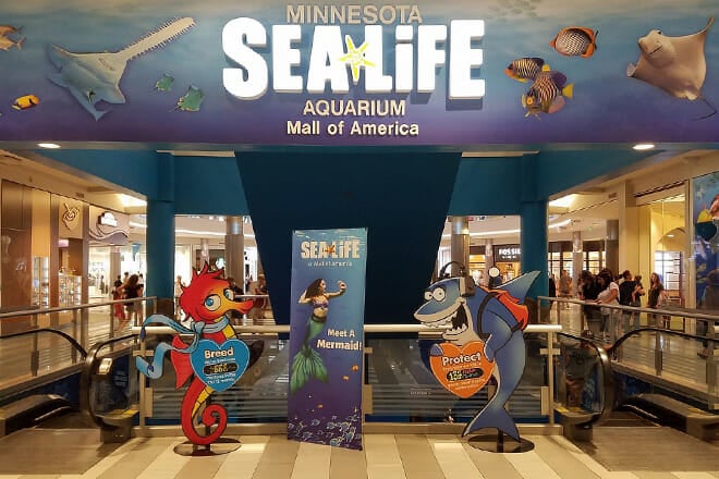 sea life centre minnesota &mdash; bloomington