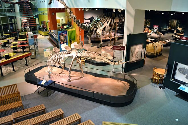 Science Museum Of Minnesota &mdash; Saint Paul