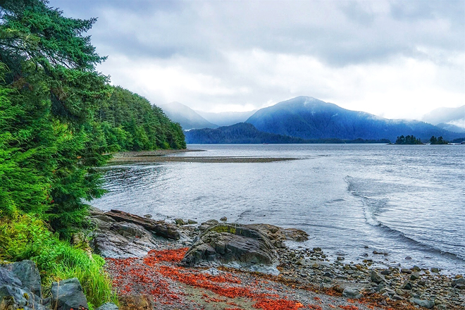 Sitka National Historical Park