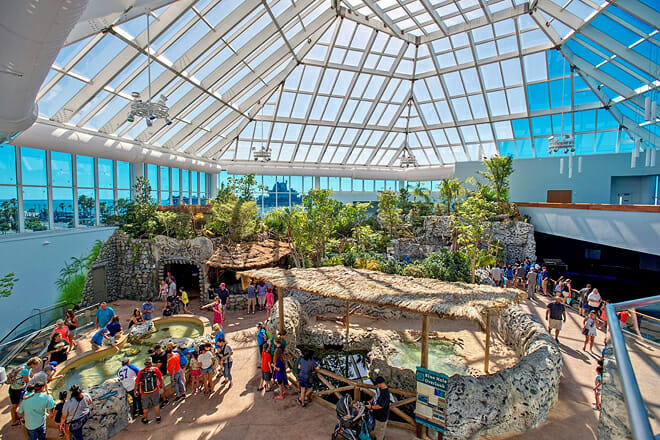 Texas State Aquarium &mdash; Corpus Christi