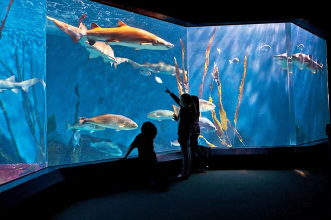 The Maritime Aquarium &mdash; Norwalk