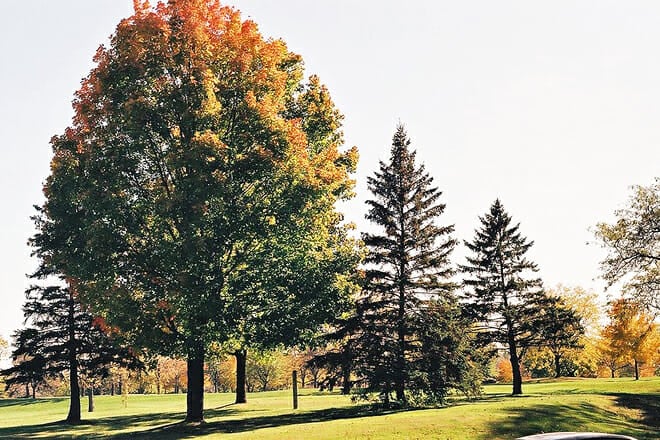 Theodore Wirth Regional Park &mdash; Golden Valley