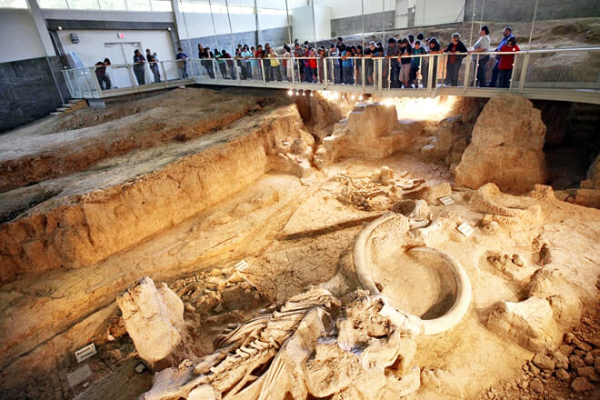 Waco Mammoth National Monument &mdash; Waco