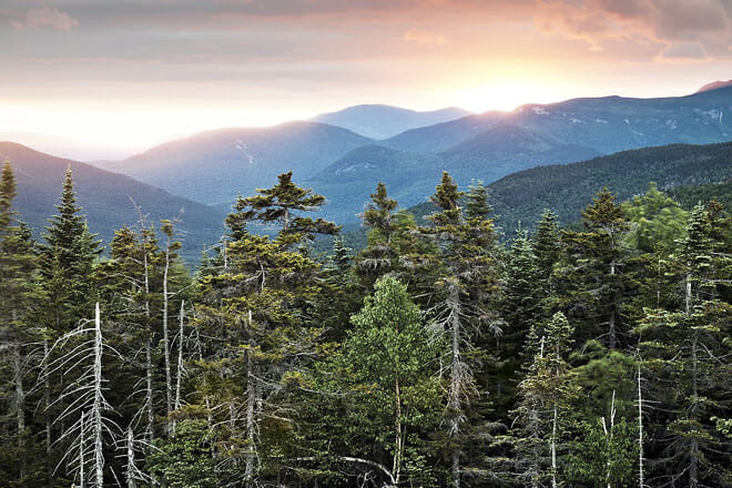 White Mountain National Forest &mdash; Campton