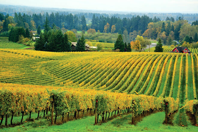 Willamette Valley &mdash; Portland