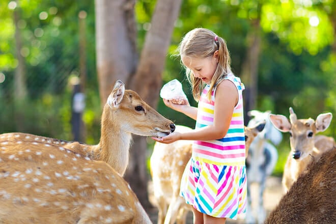 Wisconsin Deer Park &mdash; Wisconsin Dells