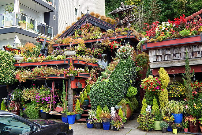 Alki Flower Houses &mdash; Seattle