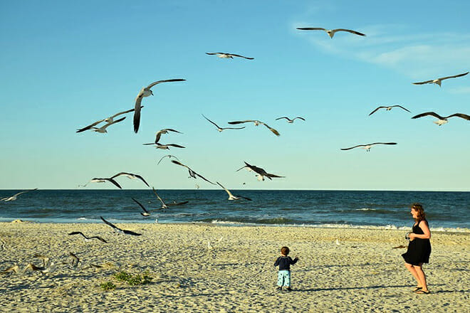 Anastasia State Park