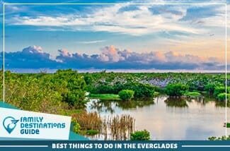 Best Things To Do In The Everglades