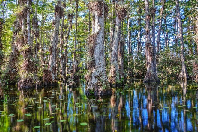 Big Cypress National Preserve
